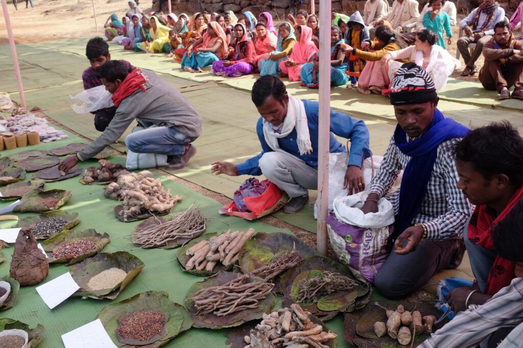 Uncultivated Food and Traditional Seed Mela – Gaildubba Village ...