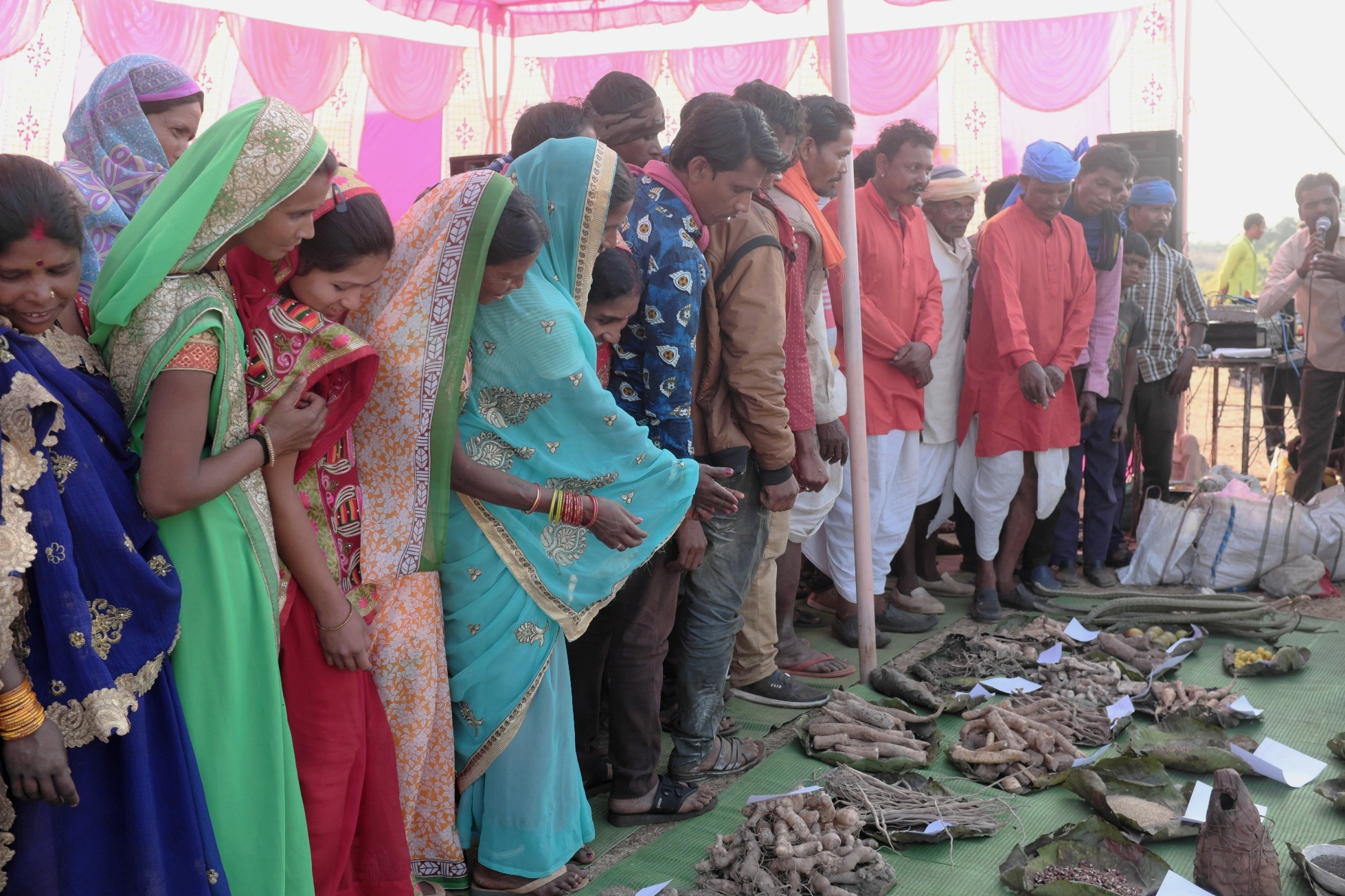 Uncultivated Food and Traditional Seed Mela – Gaildubba Village ...
